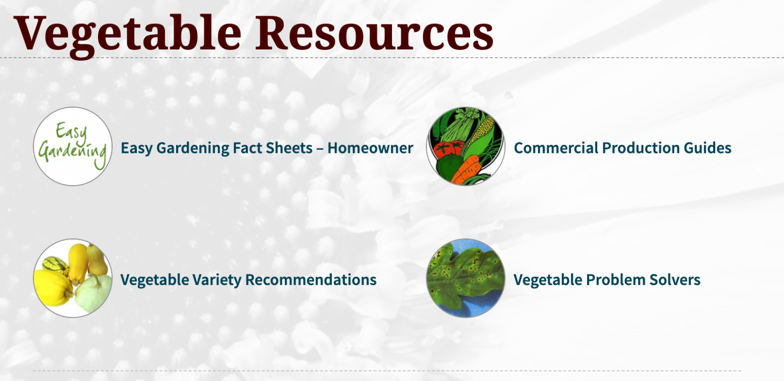 Vegetable Resources from Agrilife