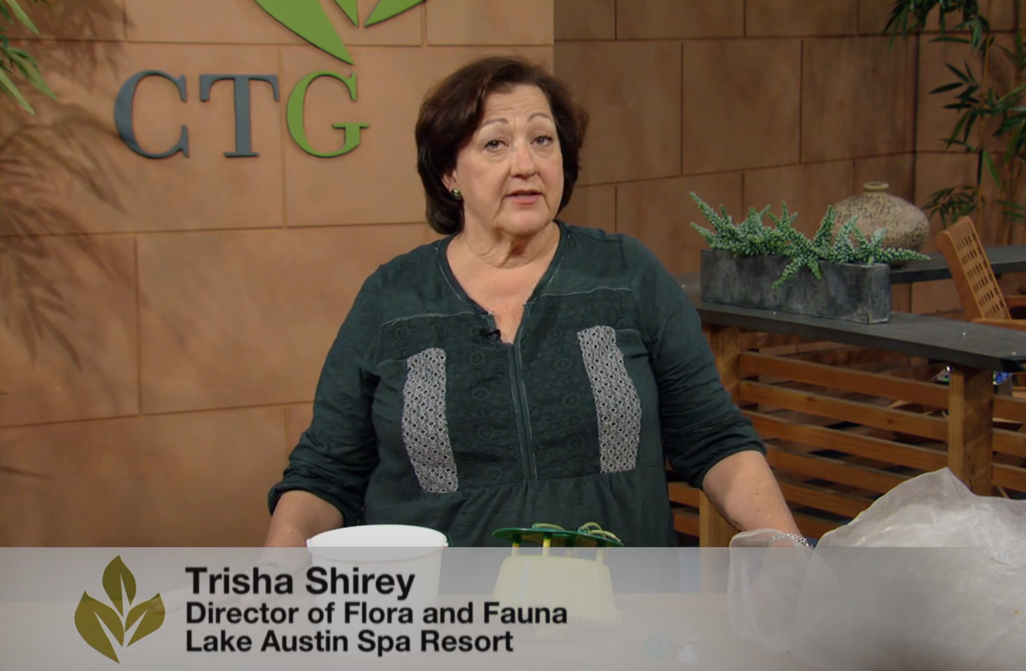 Squash Vine Borer Control – video